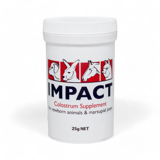 Impact Colostrum - Colostrum Supplement for Dogs & Newborn Animals ...