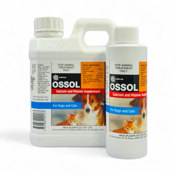 OSSOL Calcium & Vitamin Supplement for Dogs – Whelping & Lactation ...